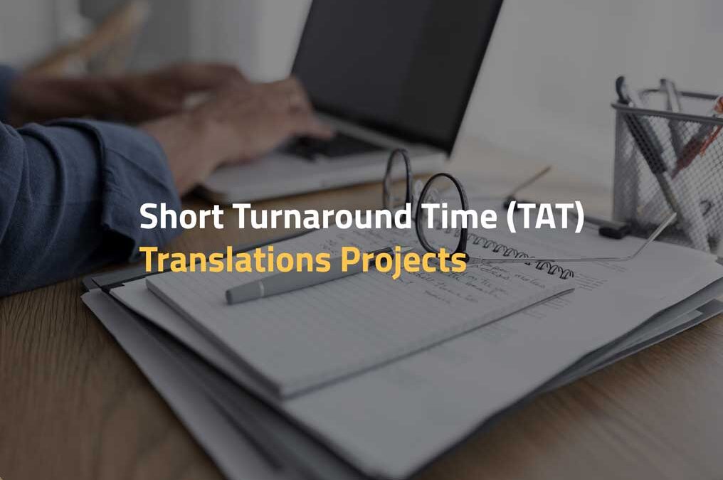 Speed and Accuracy in Translation | Pollion